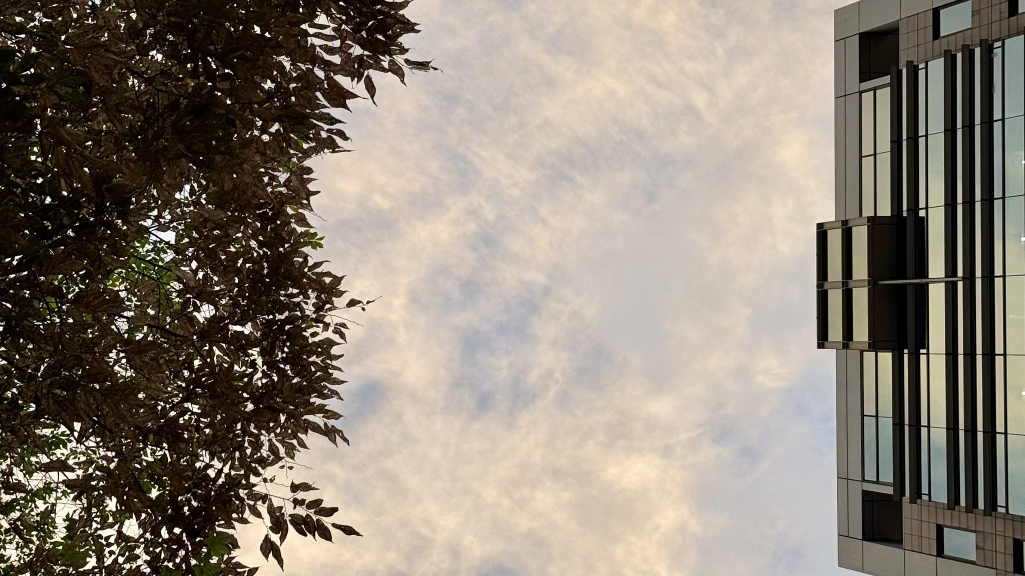 素のMinecraftに影Mod「Complementary Shaders」を導入した | KATOKI